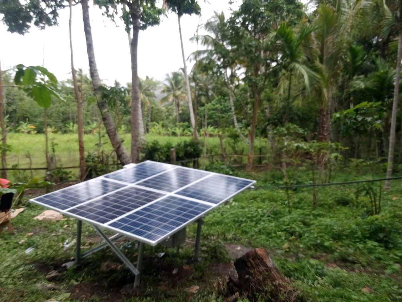 Panduan Lengkap Pompa Air DC dan Cara Kerjanya - Suryaqua